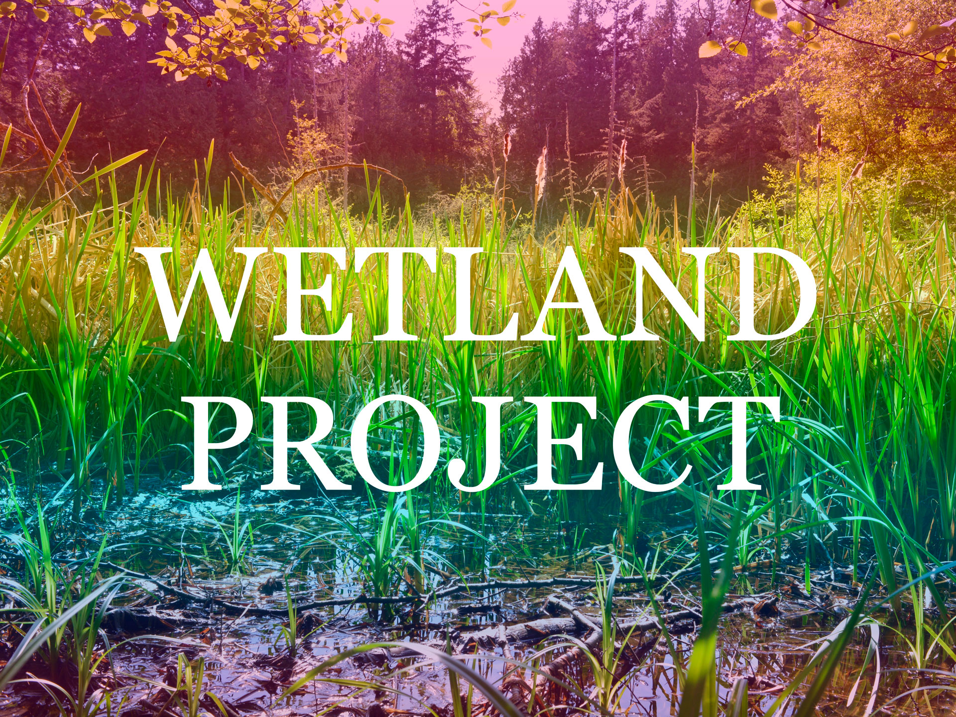 Earth Day 2022 – The Wetland Project | CJSR